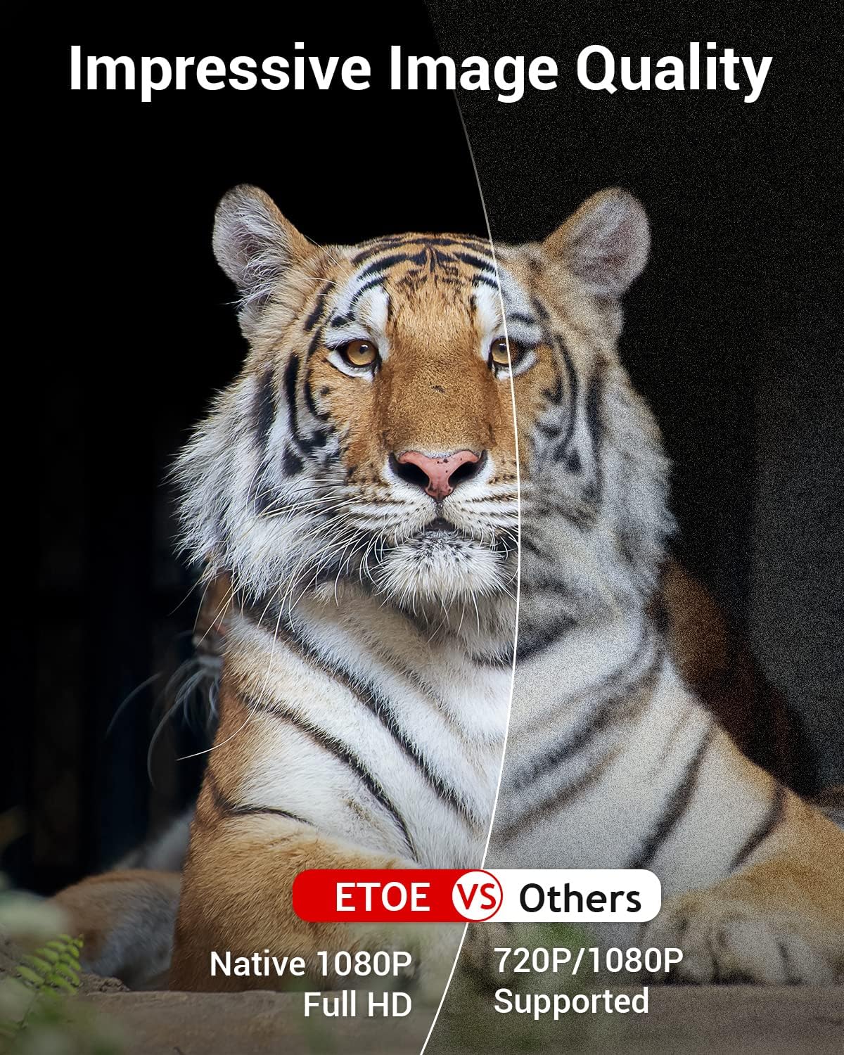 ETOE Projector: ETOE E2 Pro HDTV LCD