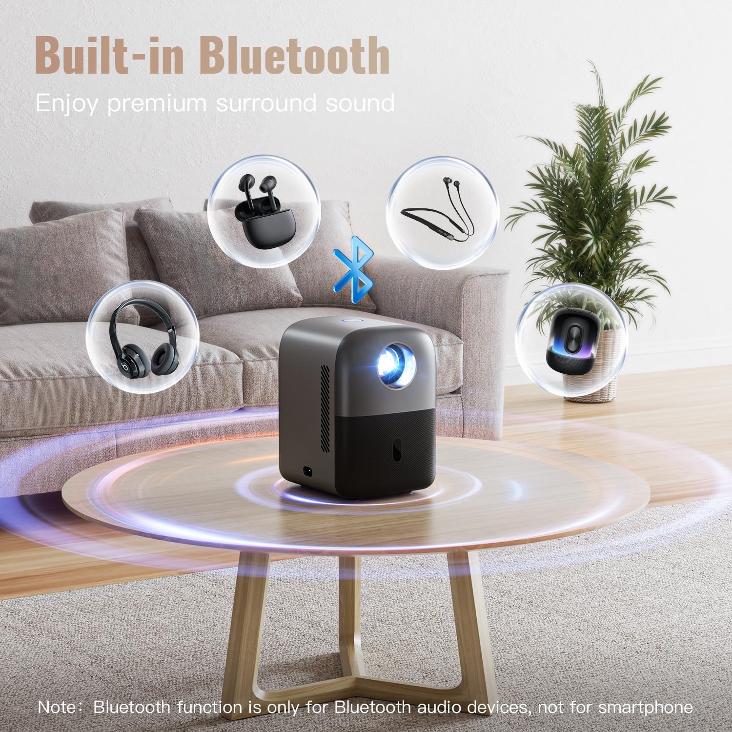 GROVIEW Projector: GROVIEW B2D HDTV LCD